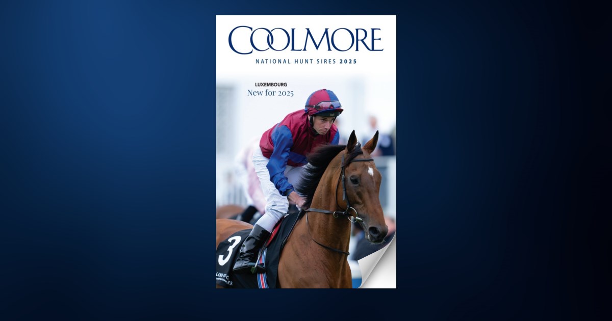 Coolmore National Hunt Brochure 2025 - Page 4