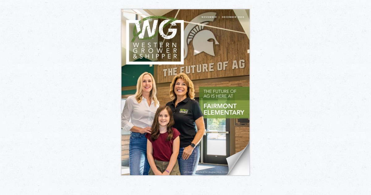 WGS Nov-Dec-2024 Layout UpdatedFinalDigital ME