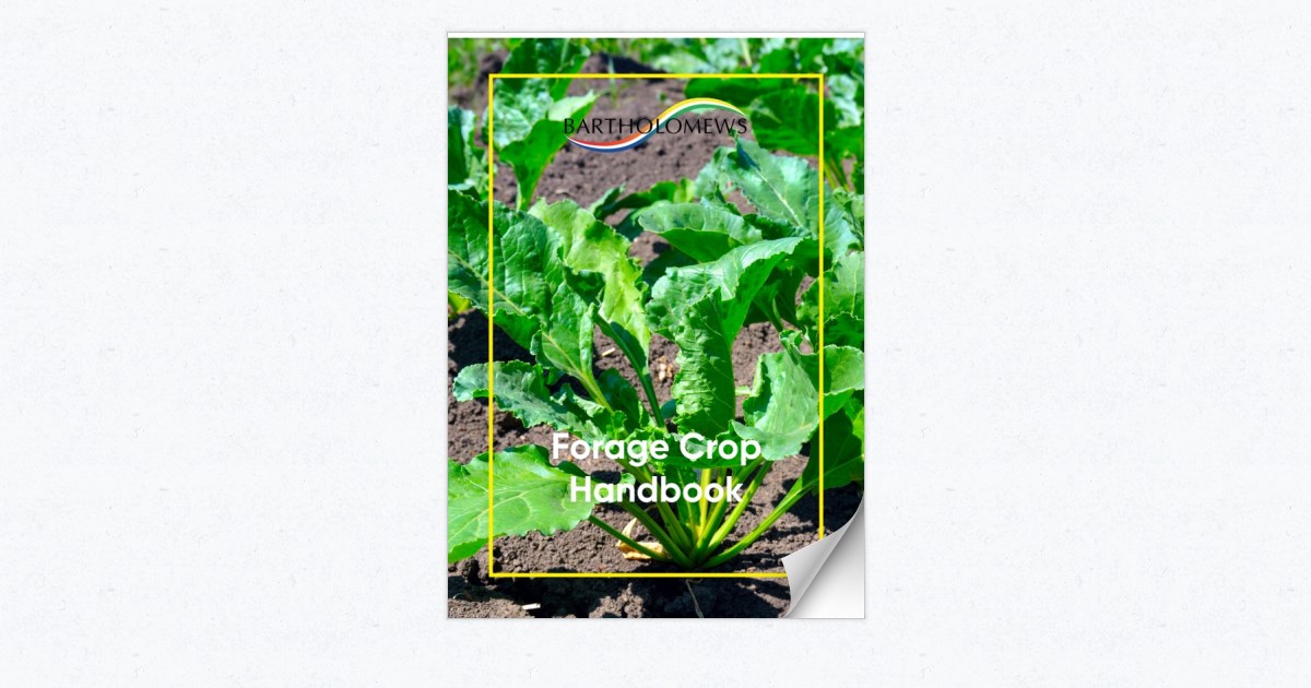 Forage crop guide
