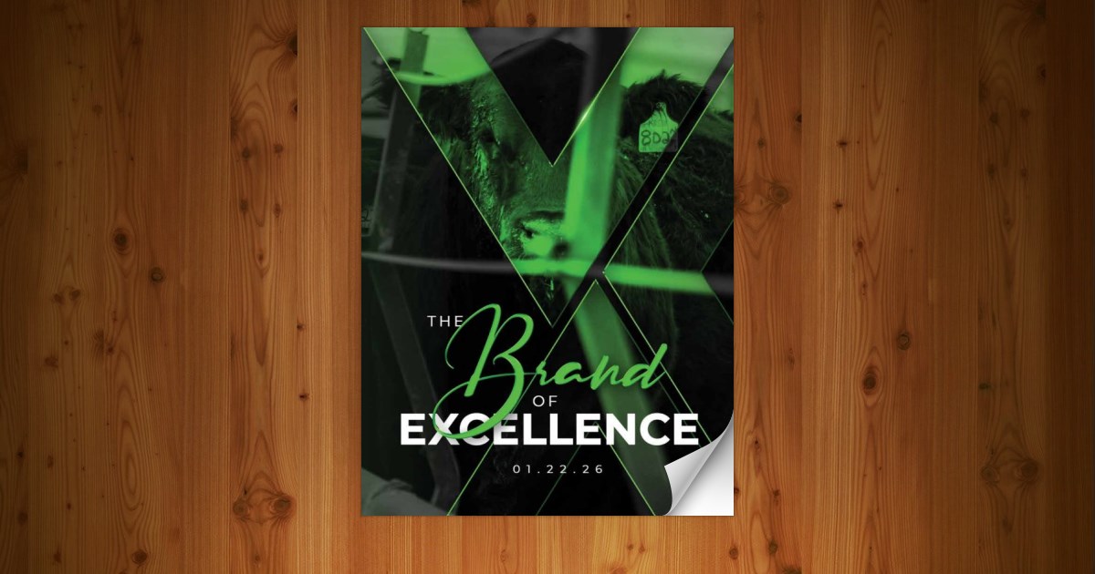 Foxy Ladies - 12th Annual Sale [1/22/26] - Page 20