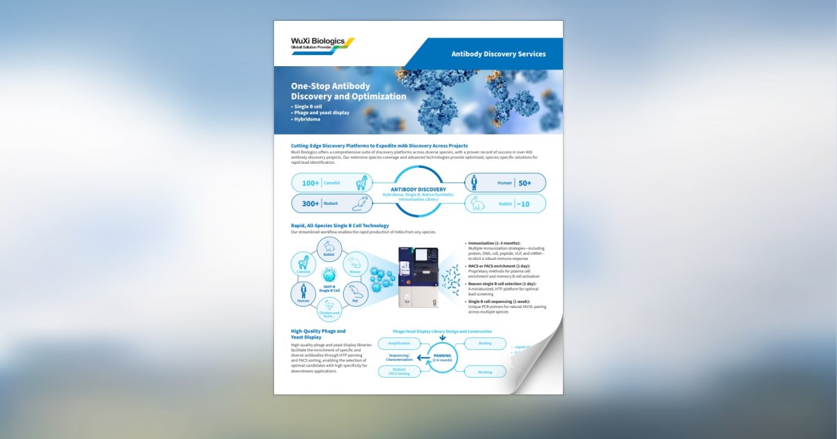 Antibody Discovery and Optimization Services