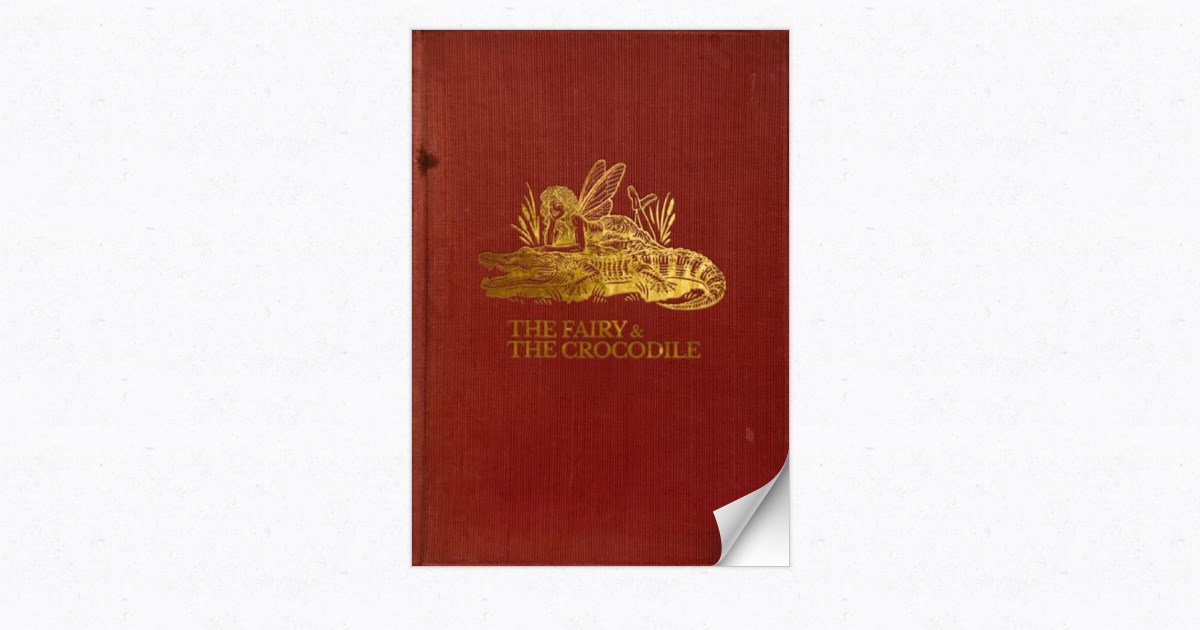 Fairy Crocodile Book