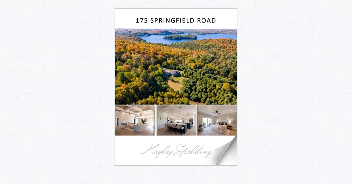 175 Springfield Road