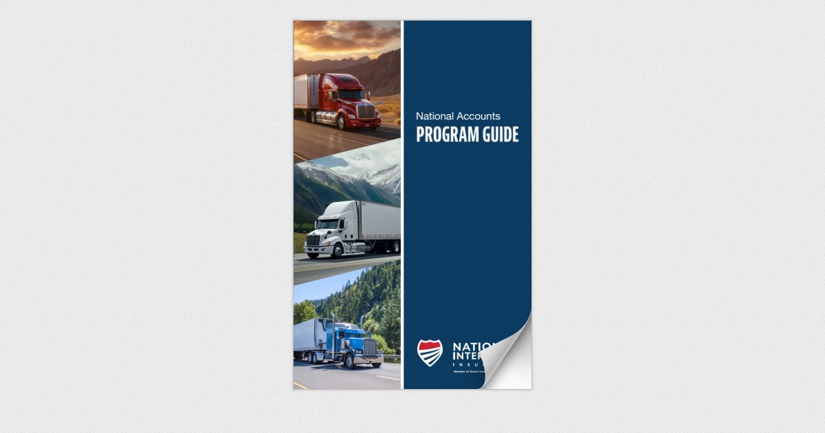 National Accounts Program Guide - Page 3