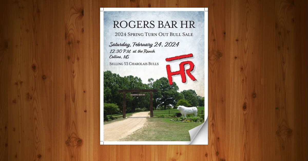 Rogers Bar HR Charolais - Spring Turn-Out Bull Sale [2/24/24]