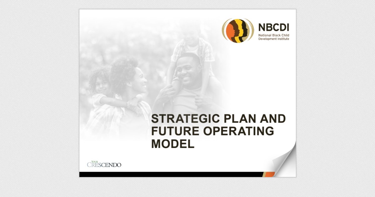 NBCDI Strategic Plan and Future Operating Model - Expanded - Page 2