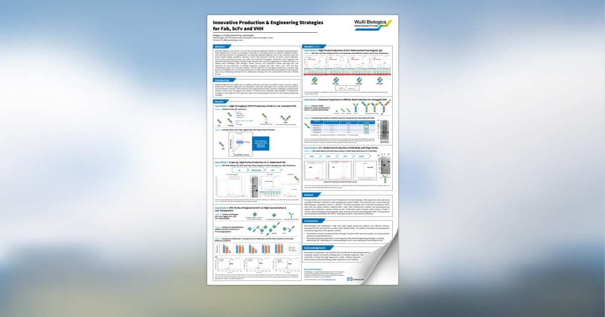 High-Titer CHO Production for Fab, ScFv & VHH