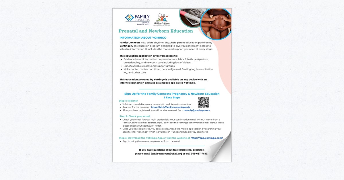 Pregnancy and Newborn Educational Tool