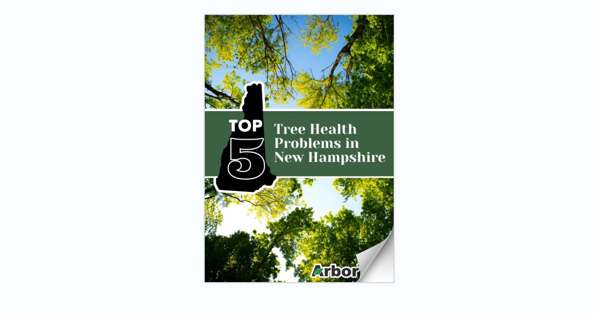 ArborTech Tree Health Reviews