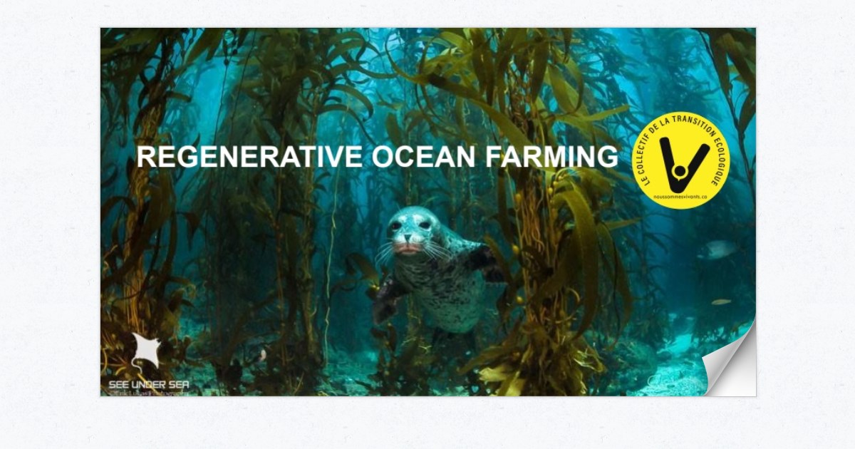 REGENERATIVE OCEAN FARMING
