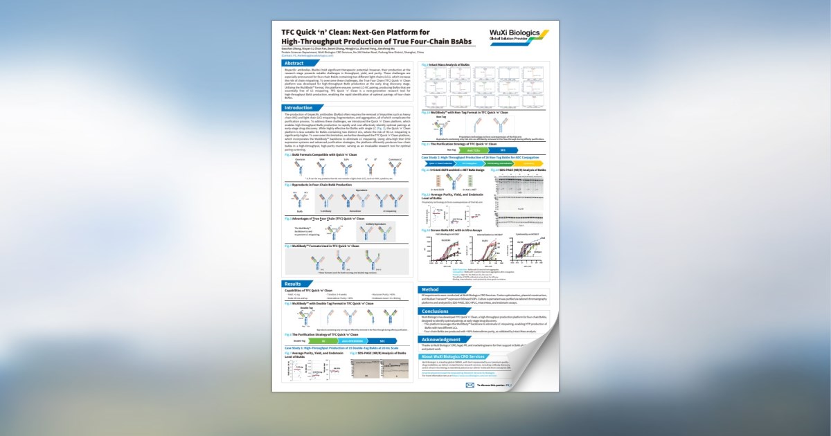 TFC Quick ‘n’ Clean: HTP Production of Four-Chain BsAbs