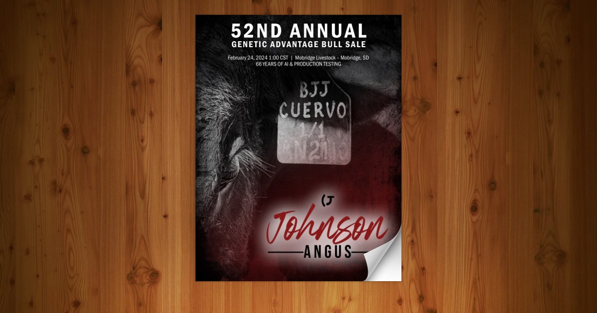 Johnson Angus - Annual Genetic Advantage Angus Bull Sale [2/24/24]