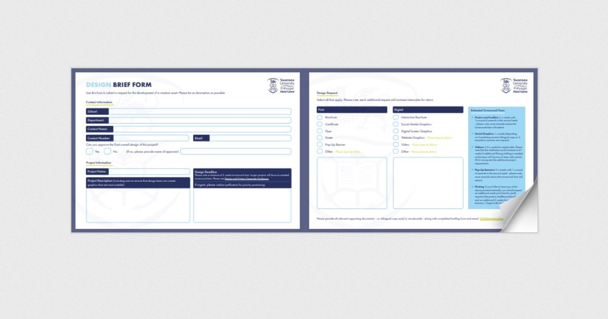 Graphic Design Briefing Document