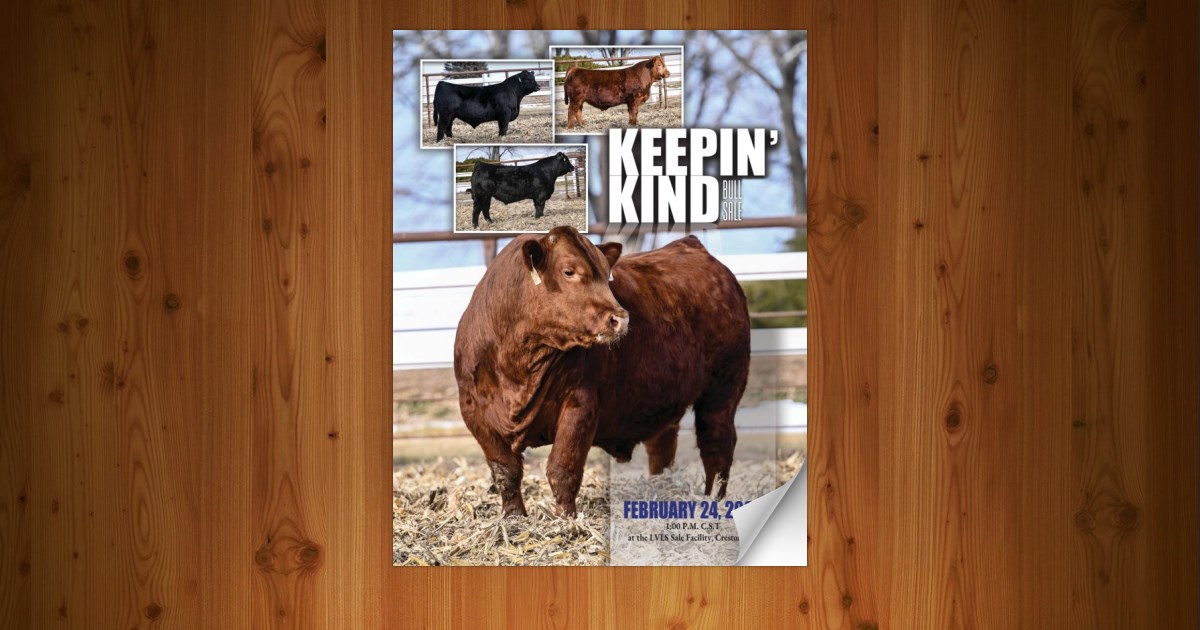Lonely Valley Seedstock - 43rd Keepin Kind Bull Sale [2/24/24]