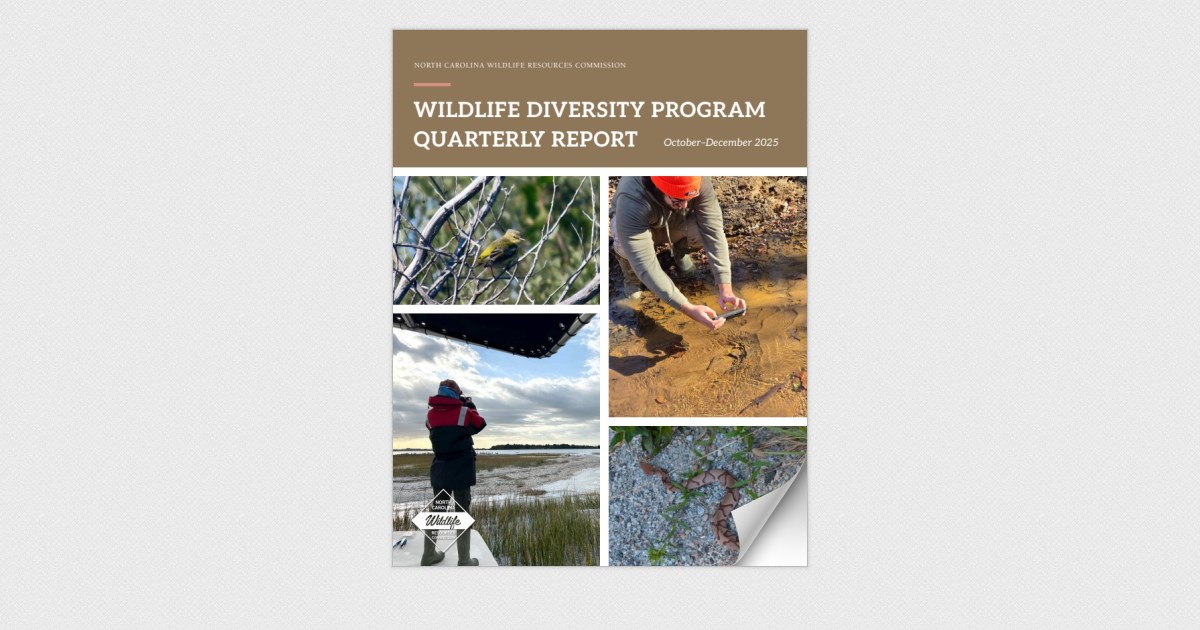 Wildlife Diversity Report 4th Quarter 2025