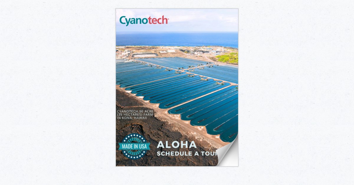 Cyanotech Hawaiian Microalgae Fliers