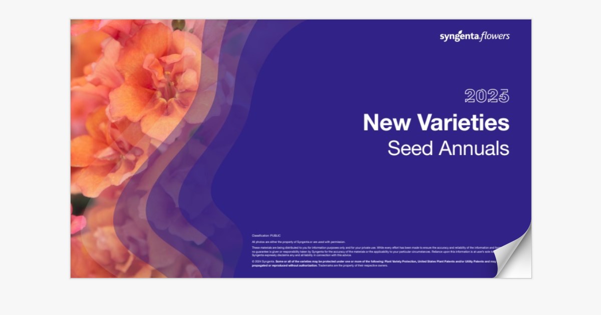 2025 Seed Annuals | AMS | New Variety Presentation