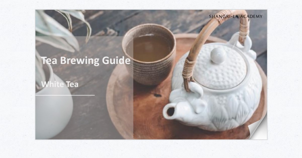 Tea Brewing Guide - White Tea