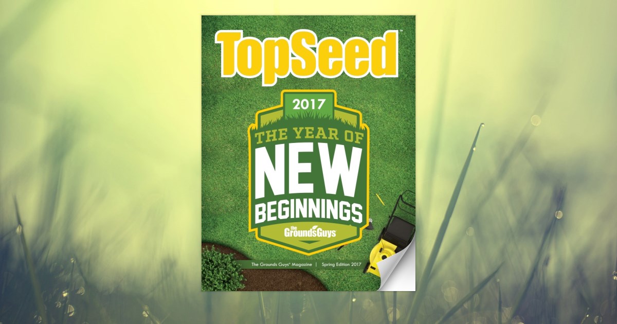 TopSeed-Spring Edition 2017
