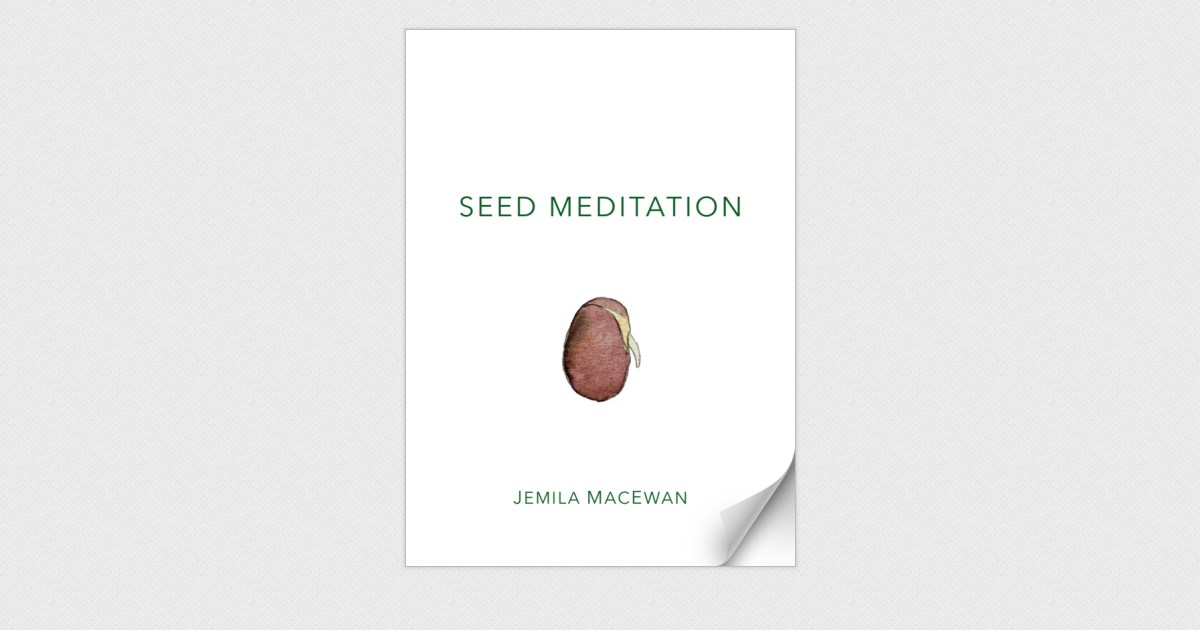 Seed Meditation Book