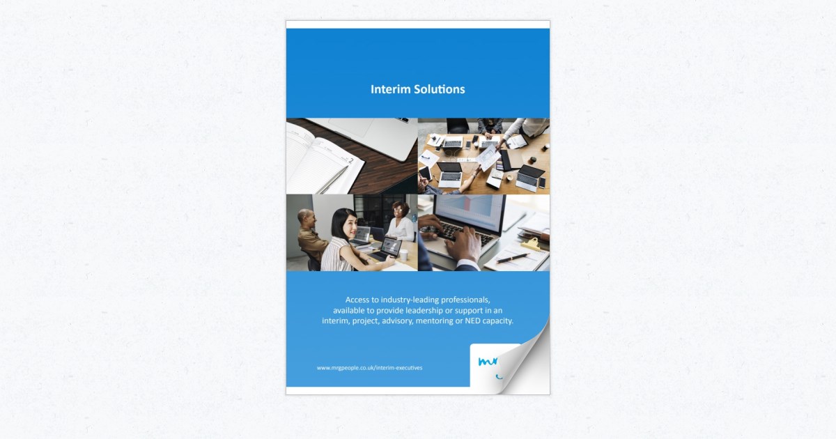 Interim Solution Brochure - Page 2