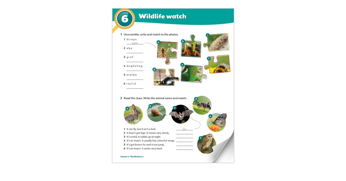 Workbook L3_U6