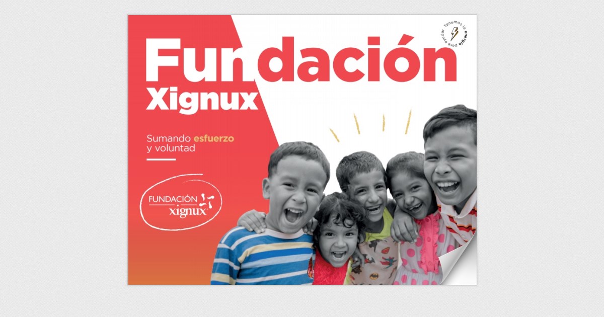 Informe Fundación Xignux