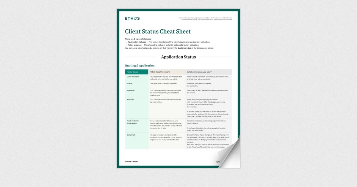 Client Status Cheat Sheet - Page 2