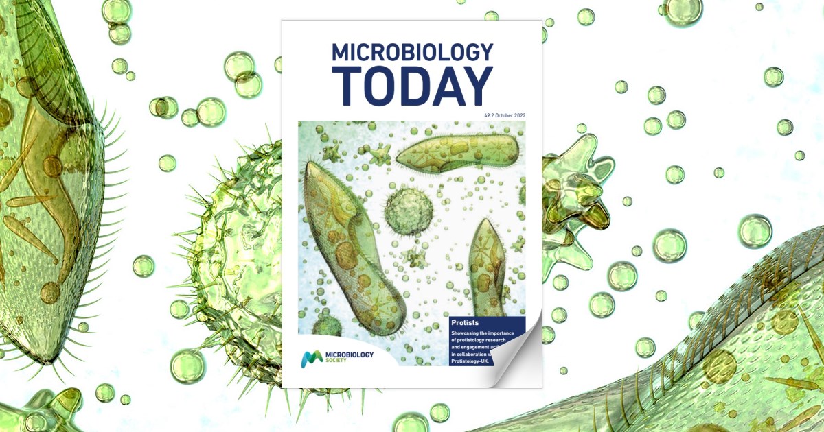 Microbiology Today October 2022: Protists