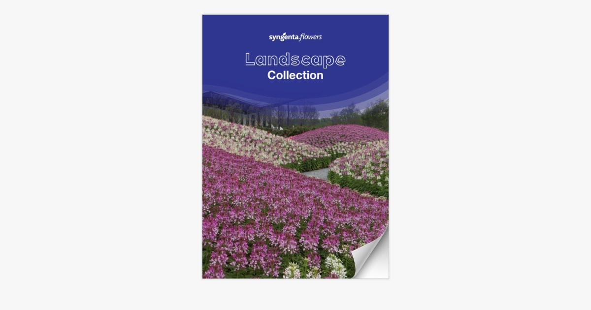 APAC | 2025 Landscape Brochure - Page 2