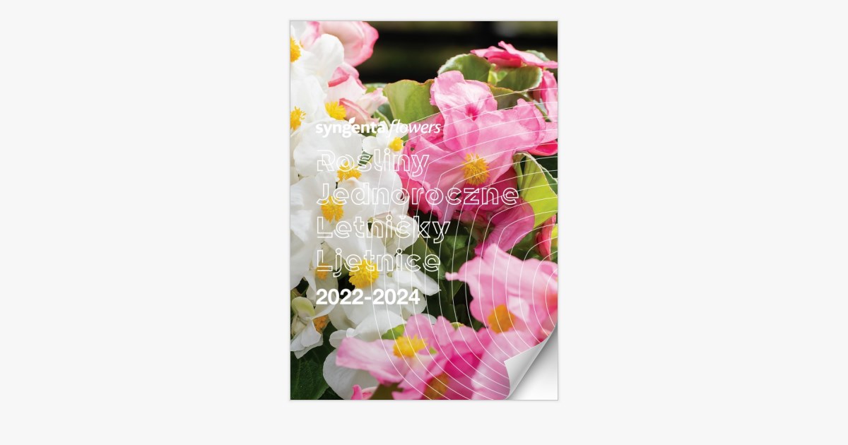 Rosliny Jednoroczne - Letnicky - Ljetnice | 2022 - 2024