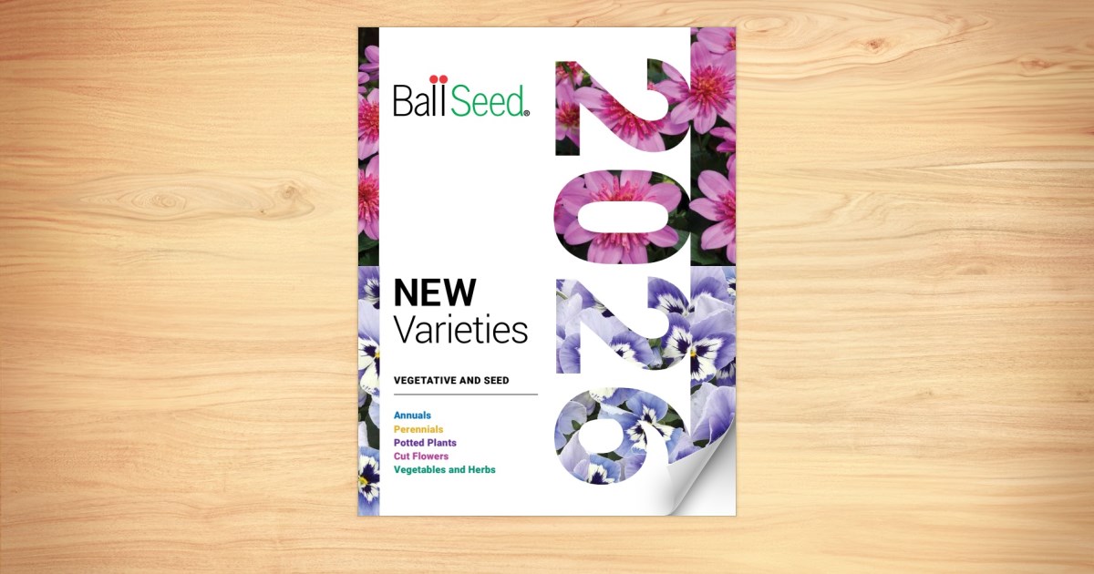 Ball Seed 2026 New Varieties Catalog