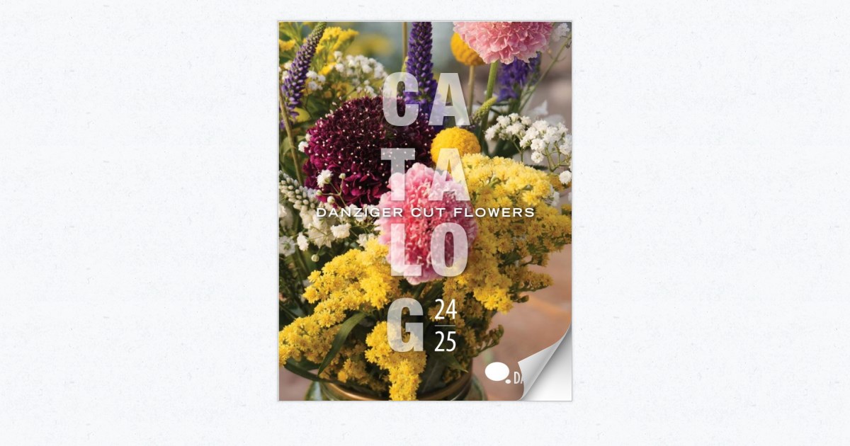 Danziger CutFlower Catalog 2024-25 - Page 4