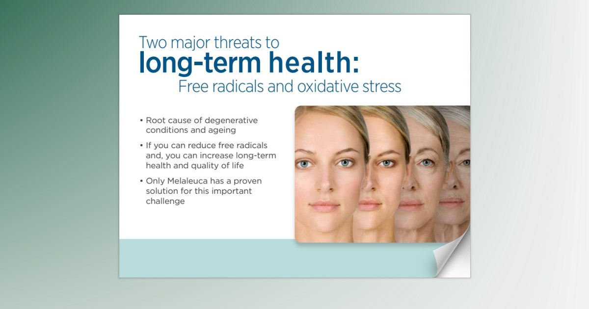 Overview Refresh Appendix - English