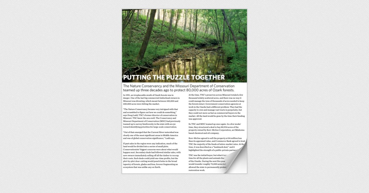 The History of Chilton Creek