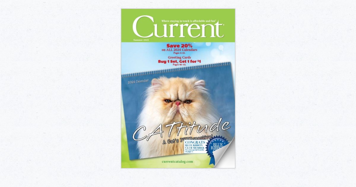 Current 2023 Summer Catalog - Page 84