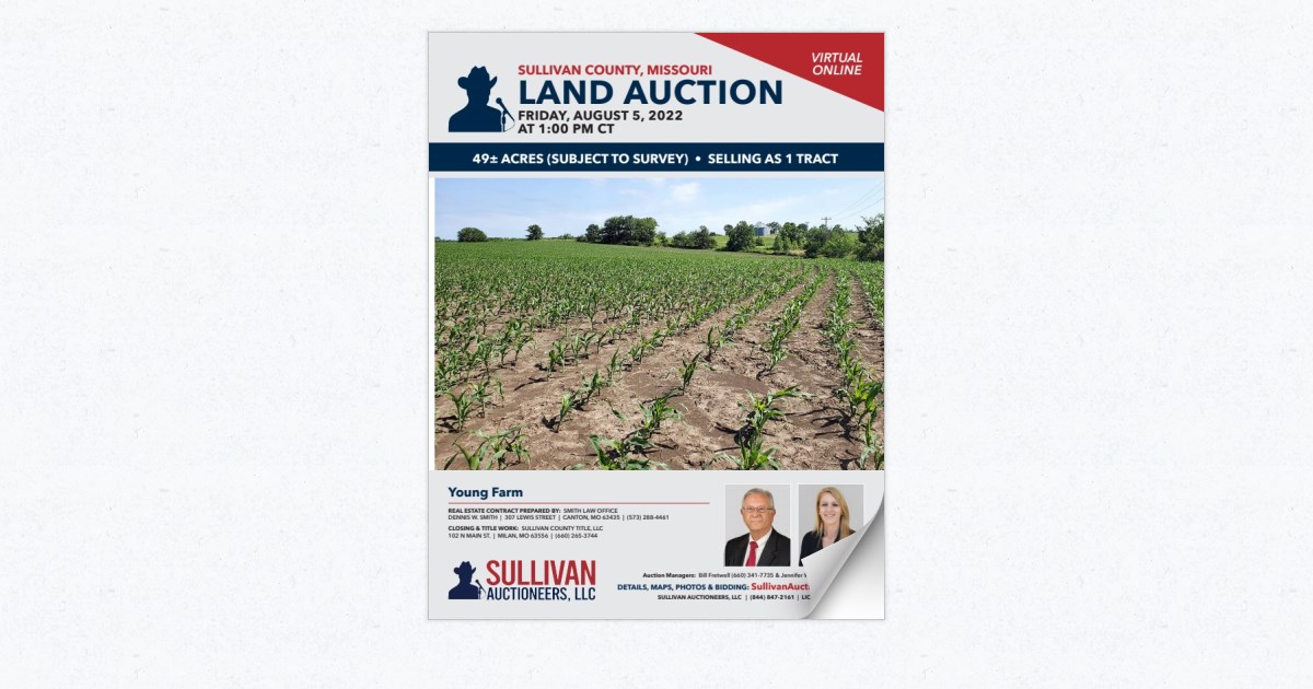 Young auction booklet
