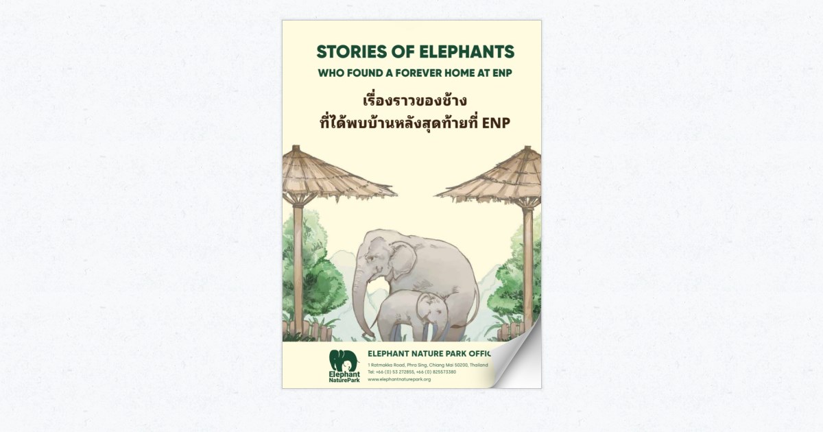 History of Elephants at ENP