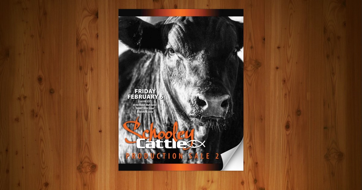 Schooley Cattle Company - Annual Simmental & Angus Bull & Female Sale ...