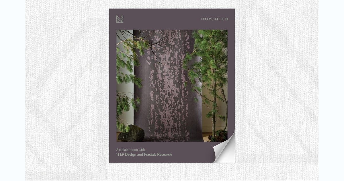 Spotlight Renaturation Collection 2025