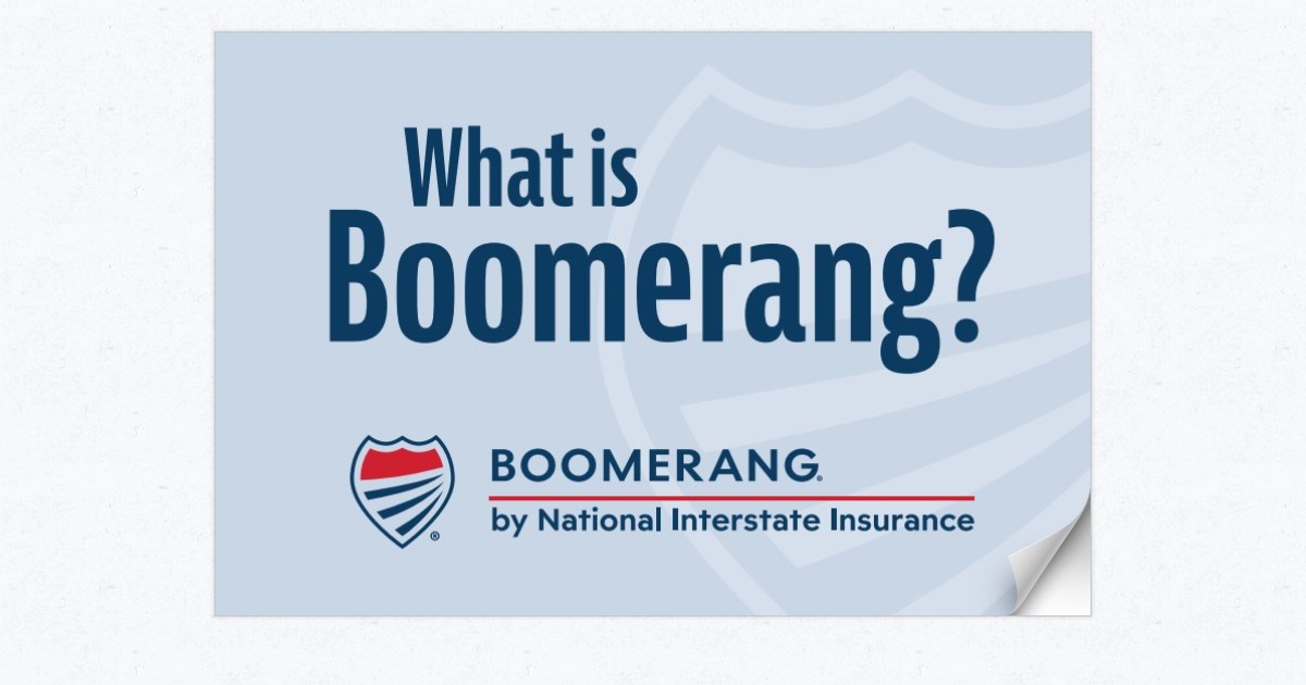 Boomerang Panel Card