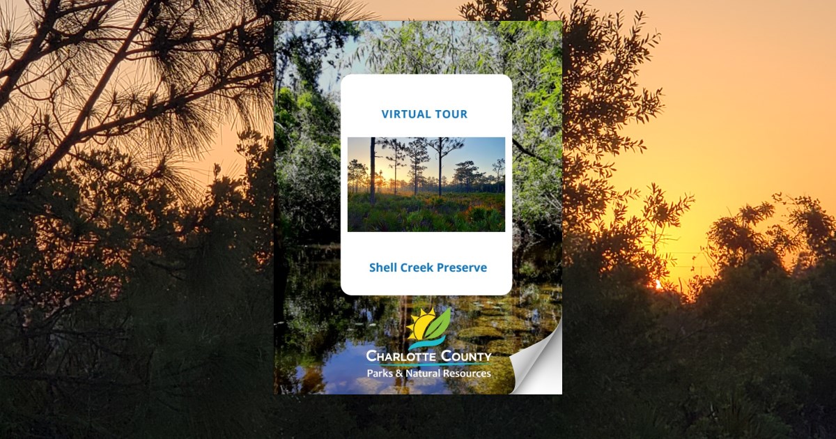 Virtual Tour : Shell Creek