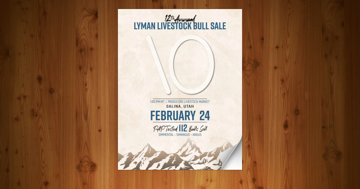 Lyman Livestock - 12th Annual Bull Sale [2/24/24]