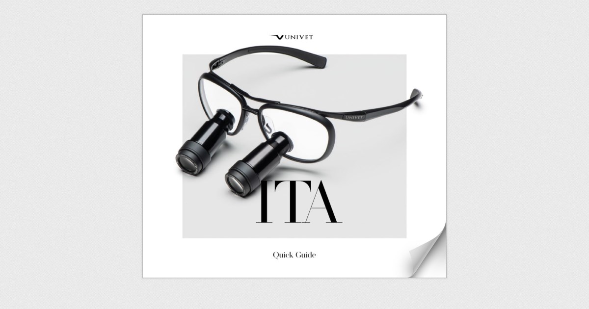 ITA Quick Guide - Page 20-21