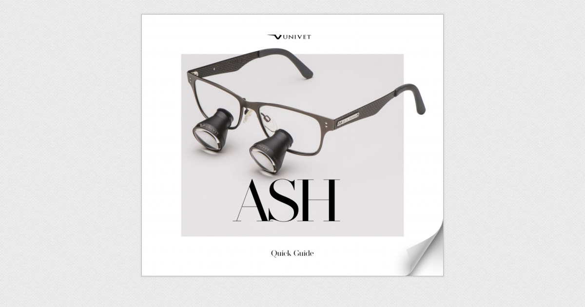 ASH Quick Guide - Page 18-19