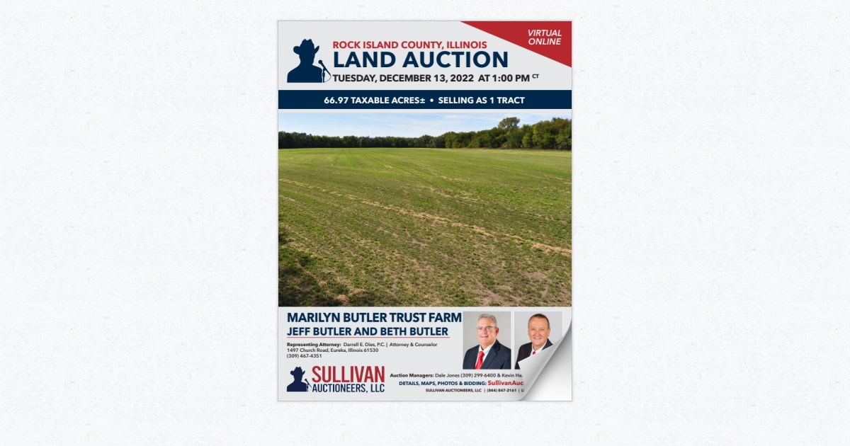 Butler Sale Bill - Page 4