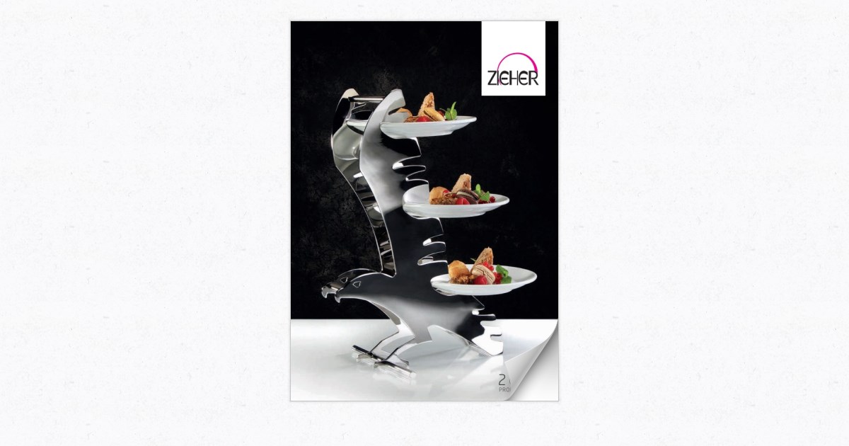 Zieher_PROFESSIONAL__main_catalogue__2020_GB