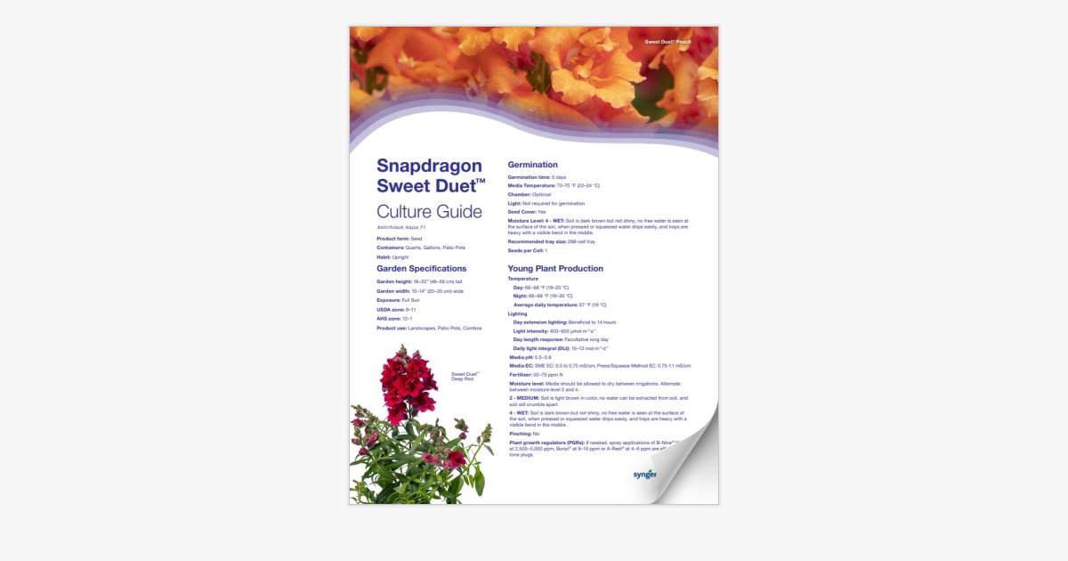 2025 Seed Annuals | AMS | Culture Guides