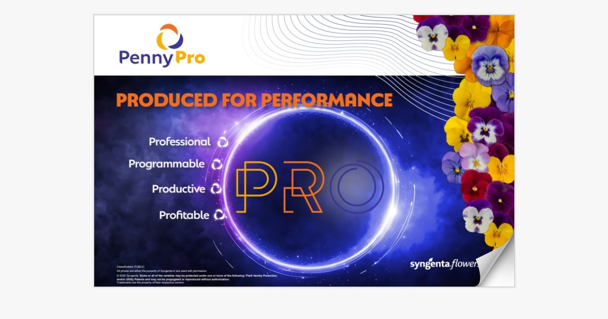 Penny Pro_EAME__RELEASE-V1