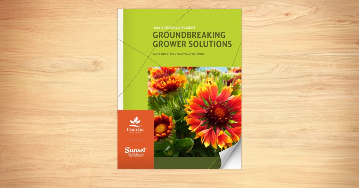 Sunset Plant Collection at PP&L